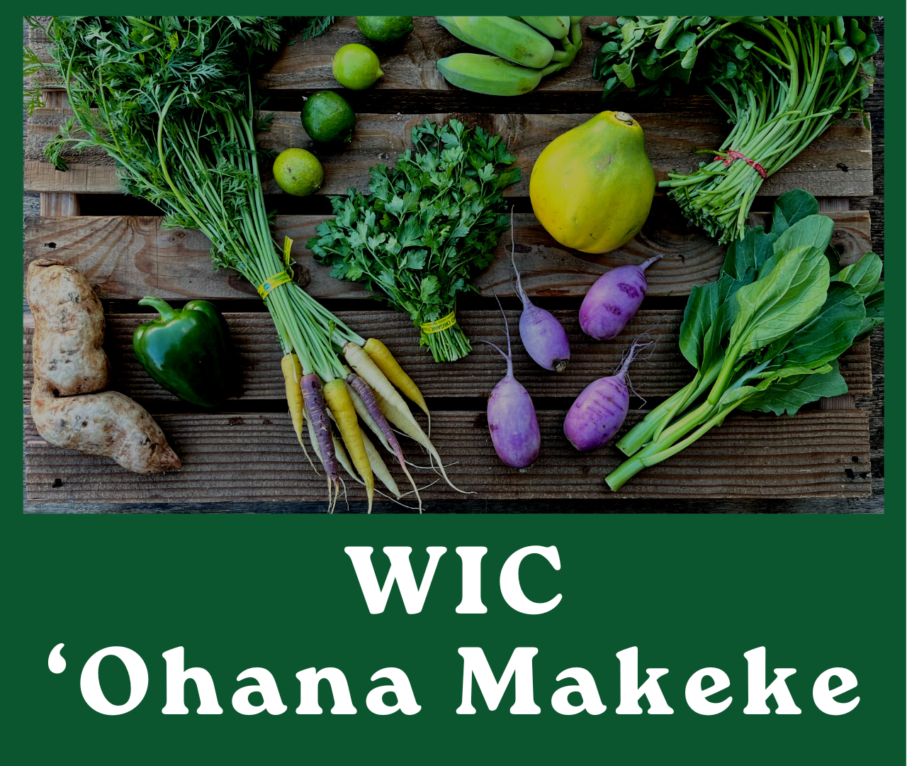 Waimanalo Health Center | Home Page